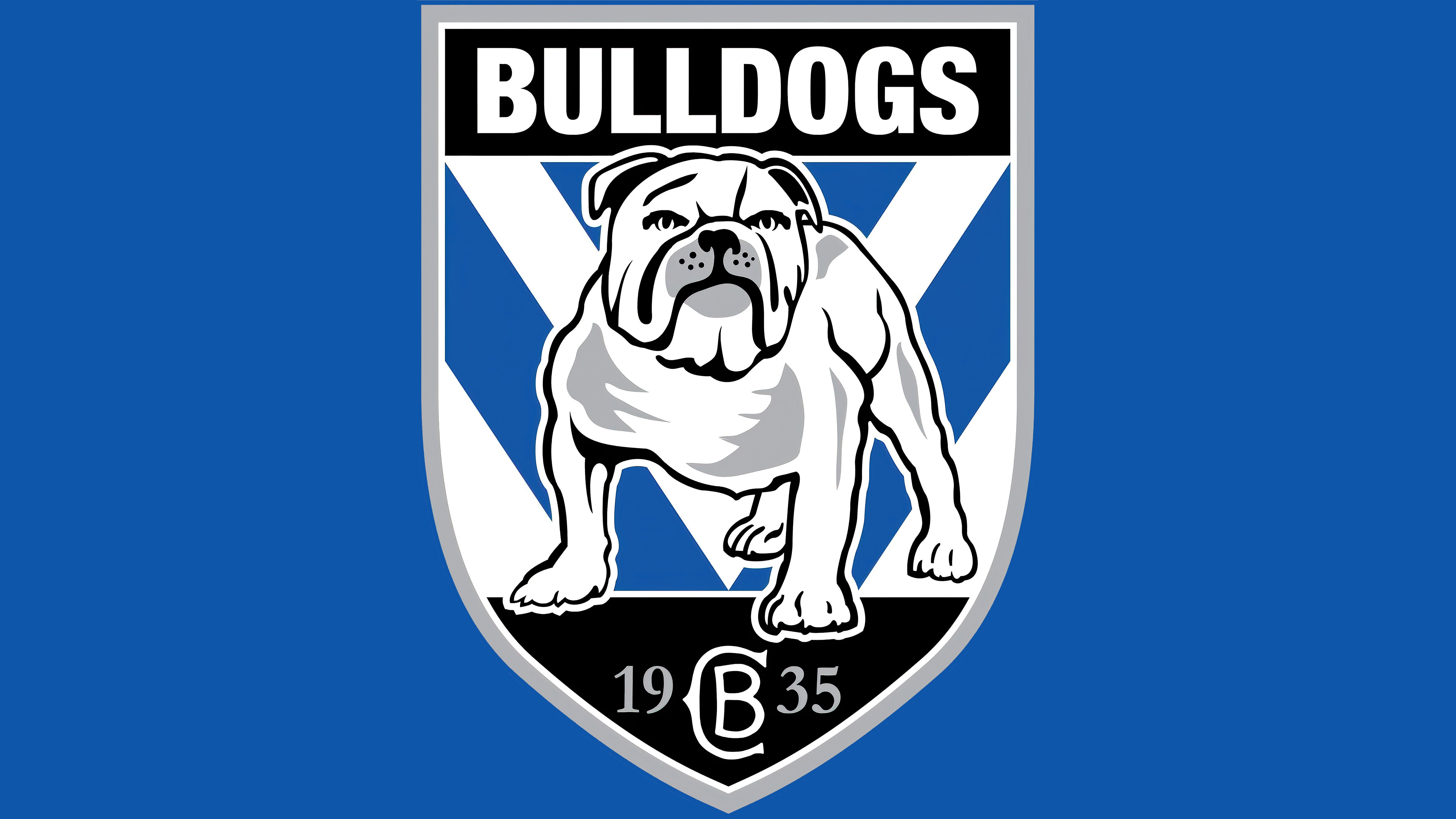 NRL Canterbury Bulldogs Team Colours Rugby League Flag